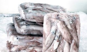 Frozen Fish - S & J Fisheries